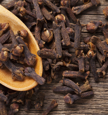 Trusted Shipping Export